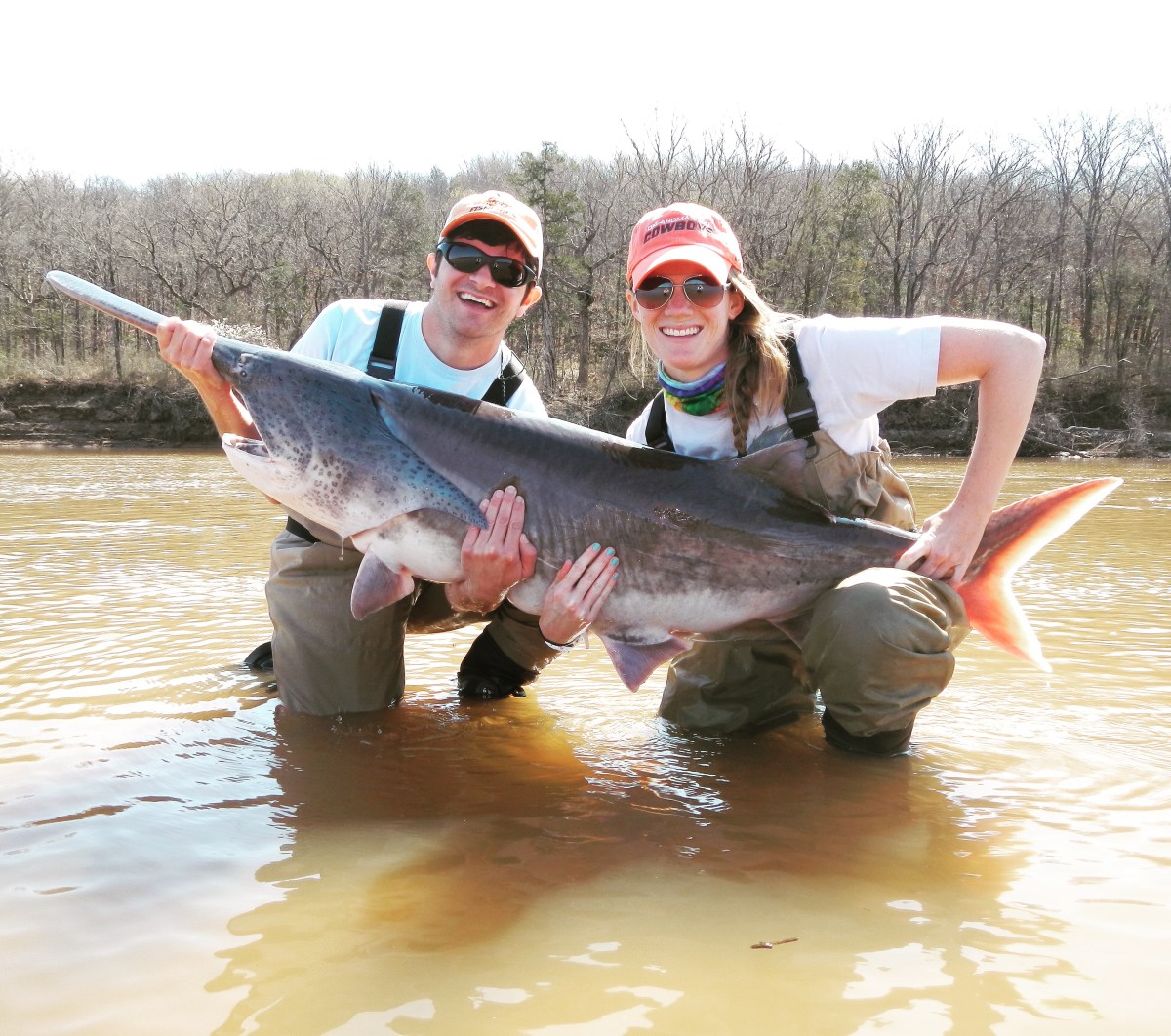 Contact | The Taylor Fish Lab